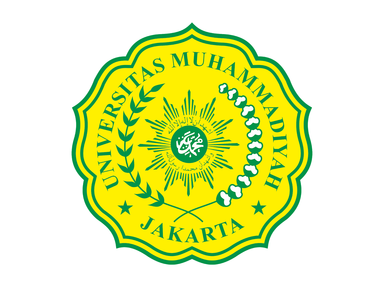 Home [www.insyma.org]